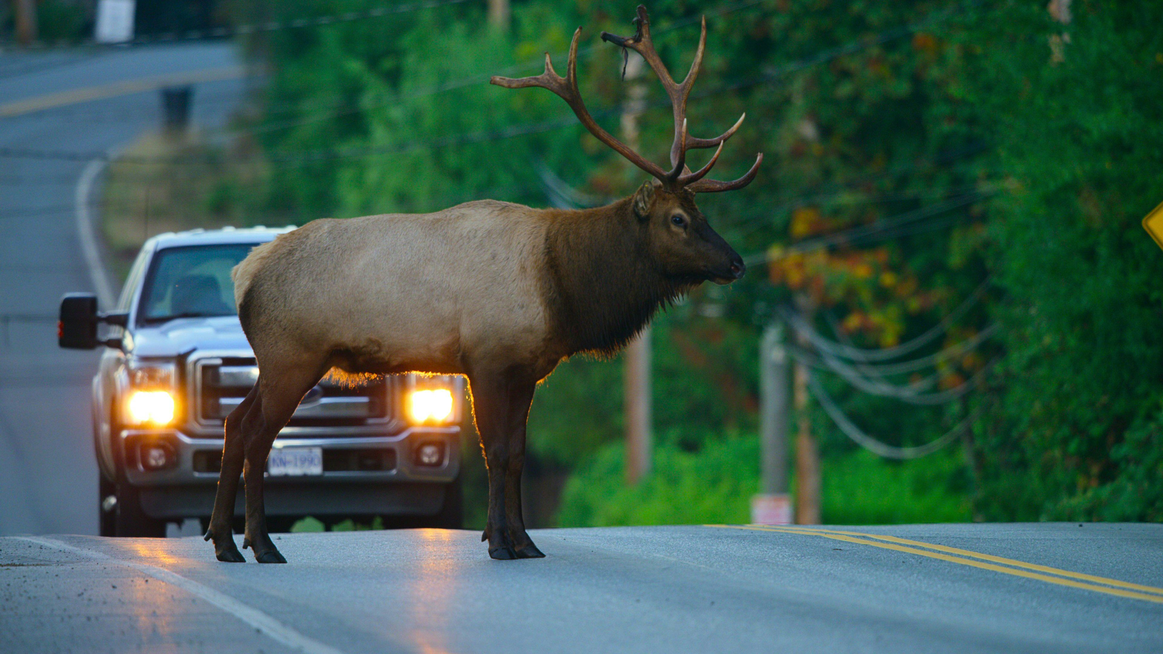 Need Last-Minute Earth Month Activities For The Family? Try Netflix