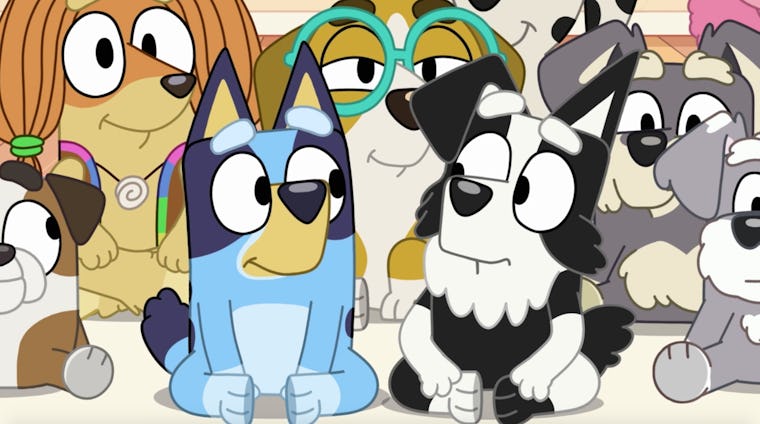 Who Is The Father Of Bluey's Child? Of Course Fans Have Some Theories