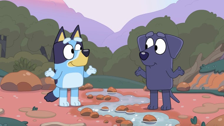 Who Is The Father Of Bluey's Child? Of Course Fans Have Some Theories