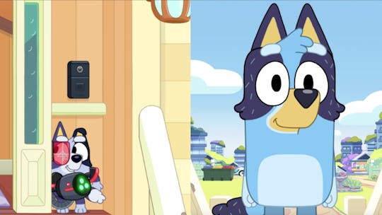 Who Is The Father Of Bluey's Child? Of Course Fans Have Some Theories