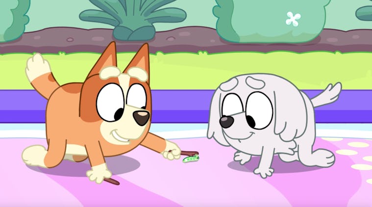 5 'Bluey' Water Games To Play In Pools, Sprinklers, Streams, & More