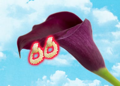 What To Do If Your Piercing Is Bleeding & Not Healing Well