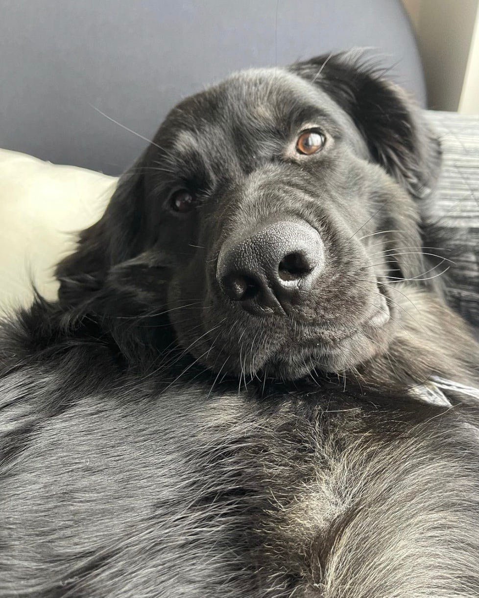 Chase Stokes' Self-Care Routine Includes Time With His Dog & GF