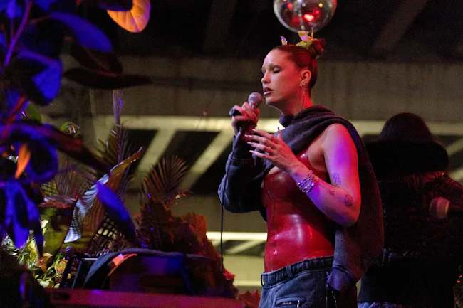 Bjork's Brooklyn "Under The K Bridge" DJ Set Scene Report