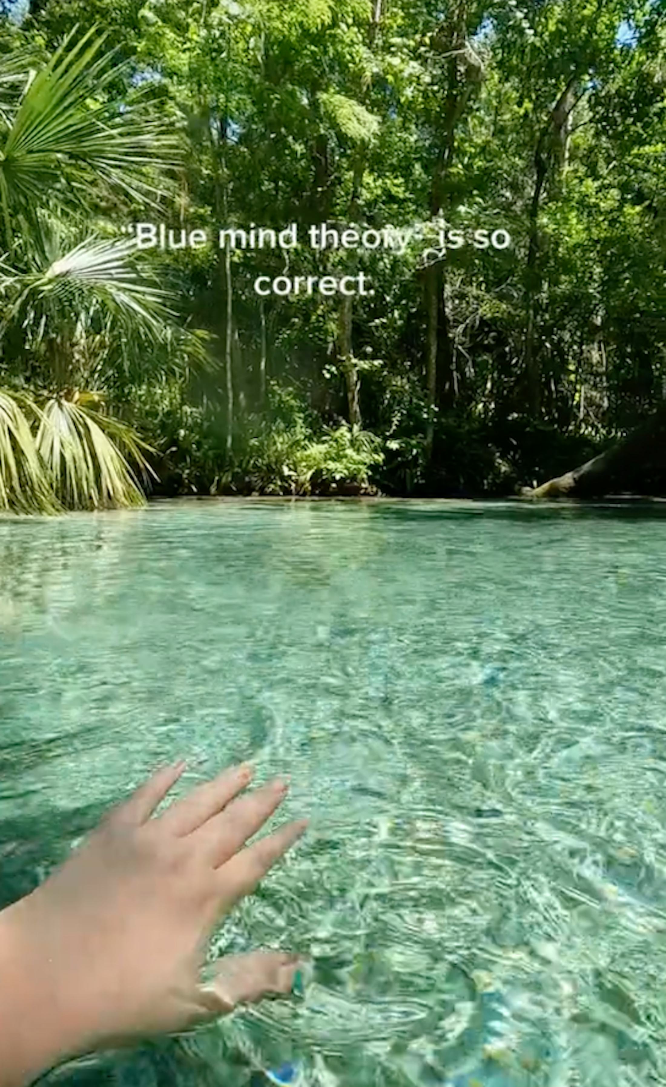 The TikTok-Viral Blue Mind Theory, Explained