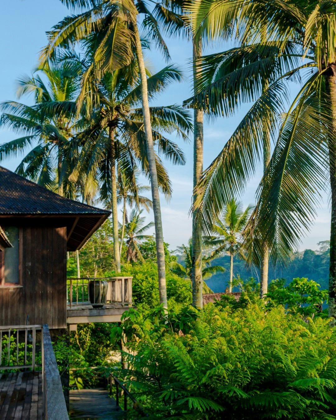 These Forest Bathing Destinations Are A Shortcut To Inner Peace