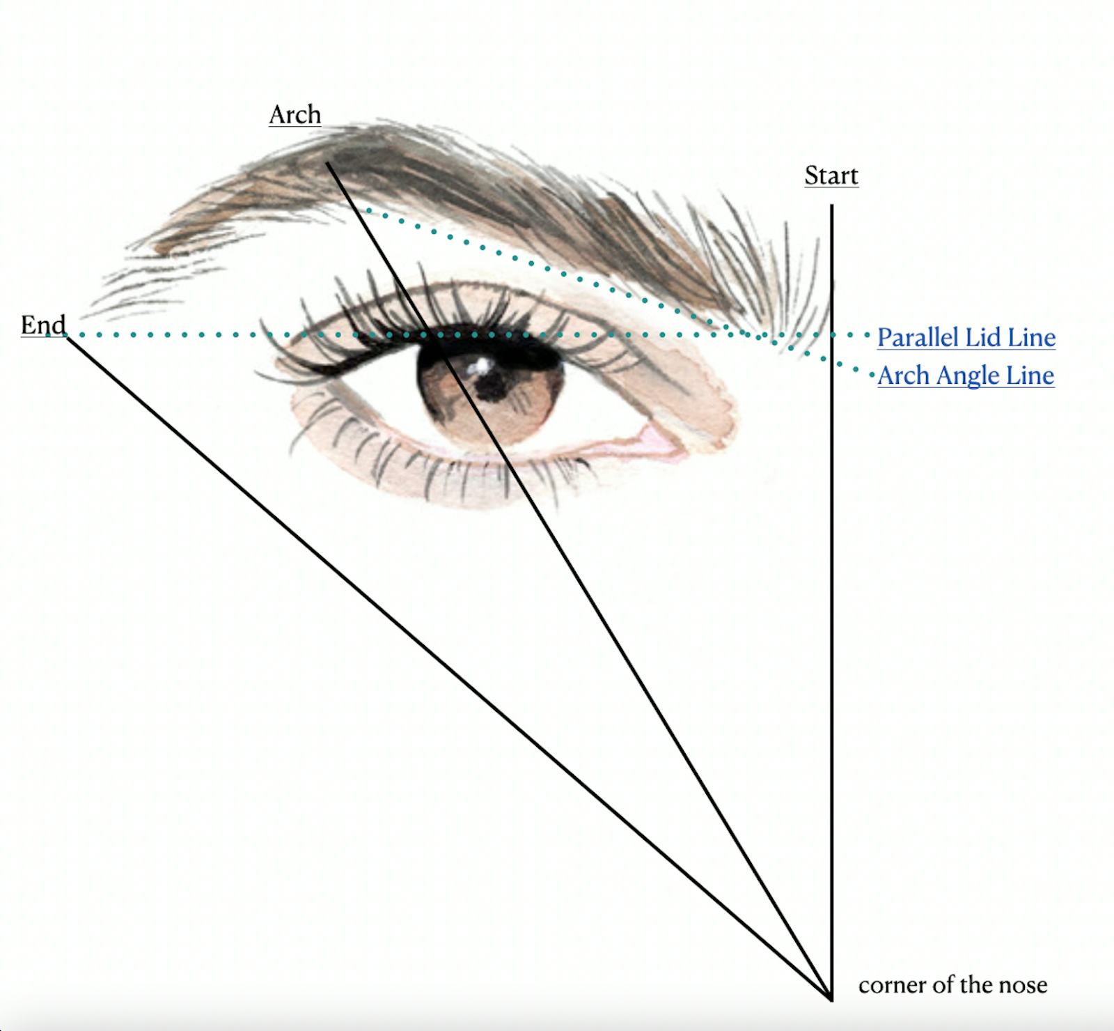 The Best Brow Shape For You Can Be Achieved By Following These Steps