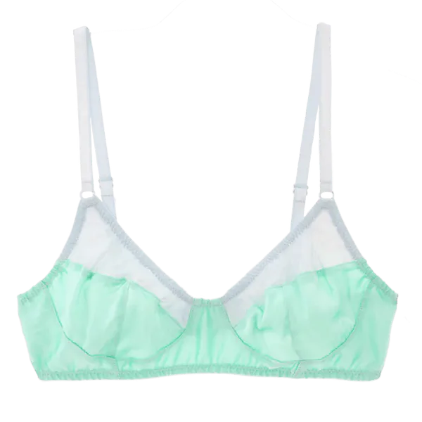 20 Best Sheer Bras