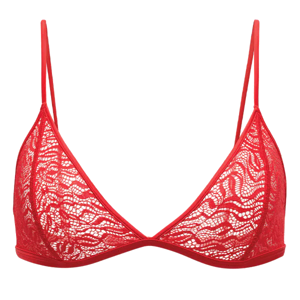 20 Best Sheer Bras