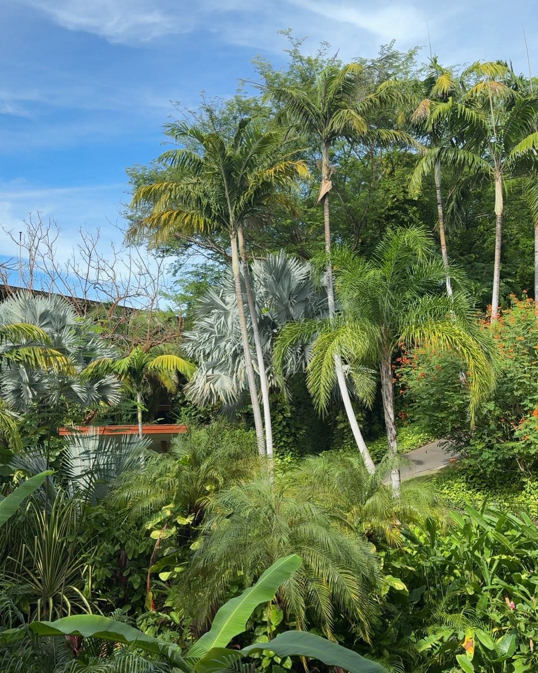 My Blue Zone Retreat In Costa Rica Taught Me The Magic Of These ...