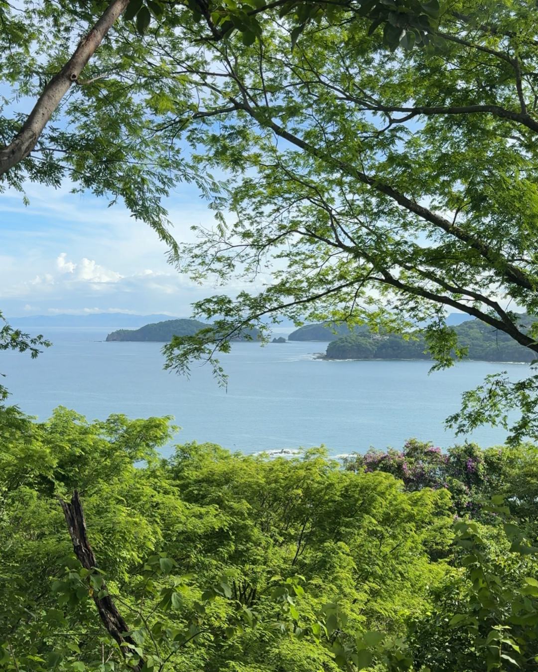 My Blue Zone Retreat In Costa Rica Taught Me The Magic Of These ...