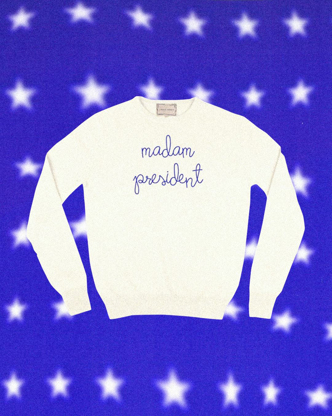 Best Election and Voter Merch to Shop Now