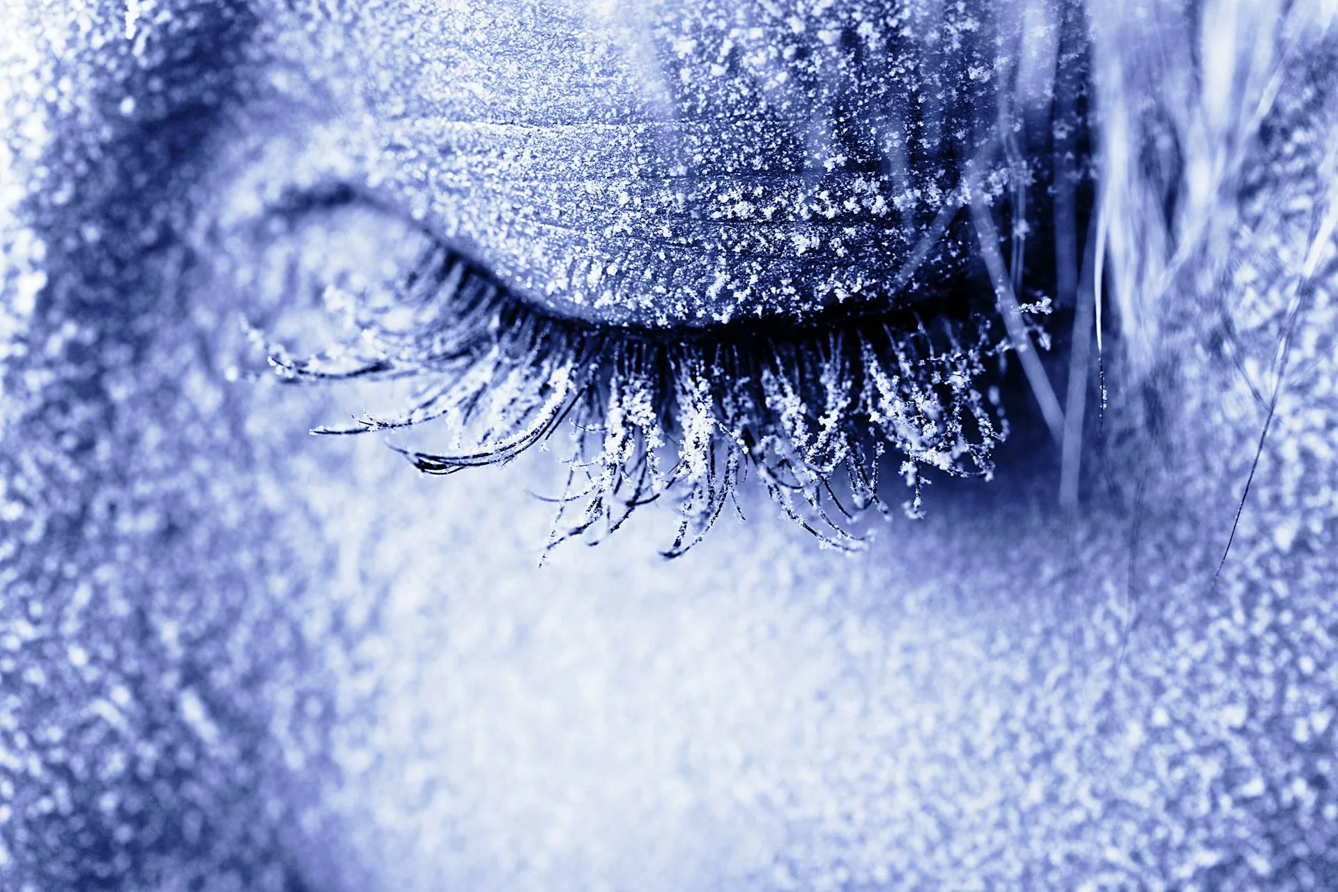 How To Solve A Murder In The Snow, According to Science