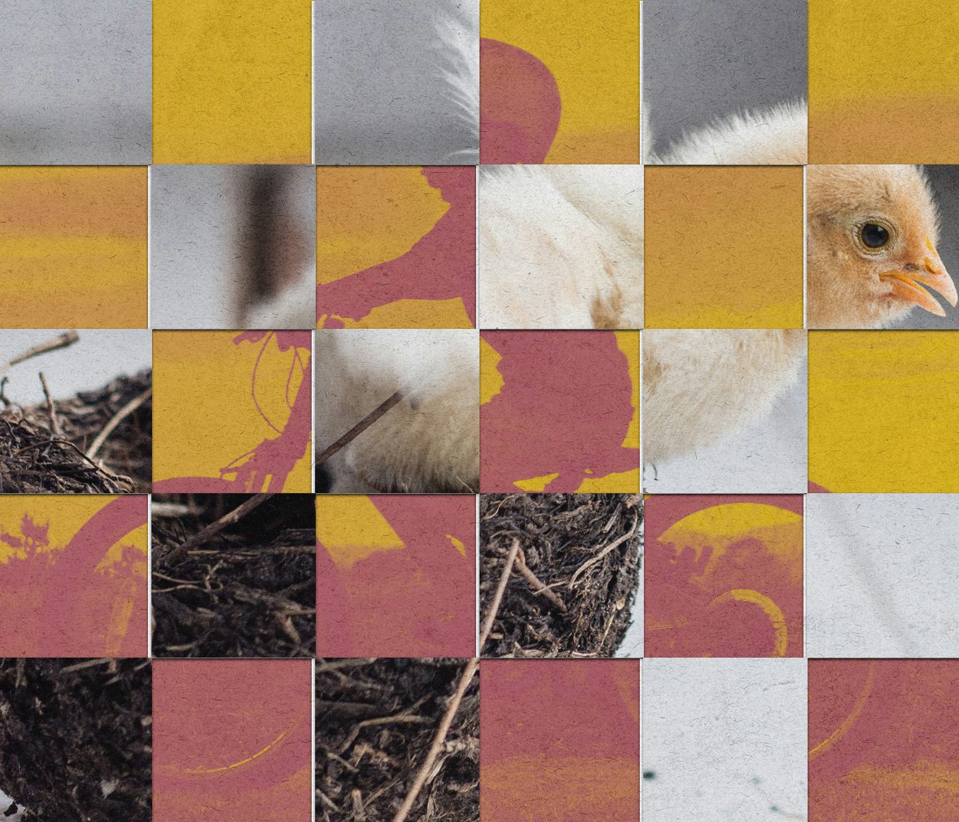 Kids Need More Freedom. Here Are 25 Ways To Give It To Them.