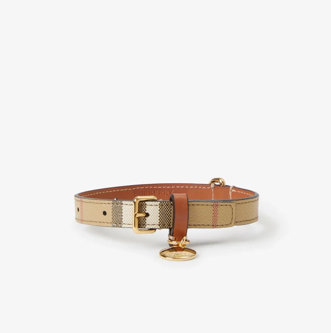 The 37 Best Dog Accessories and Gifts for Dog Lovers