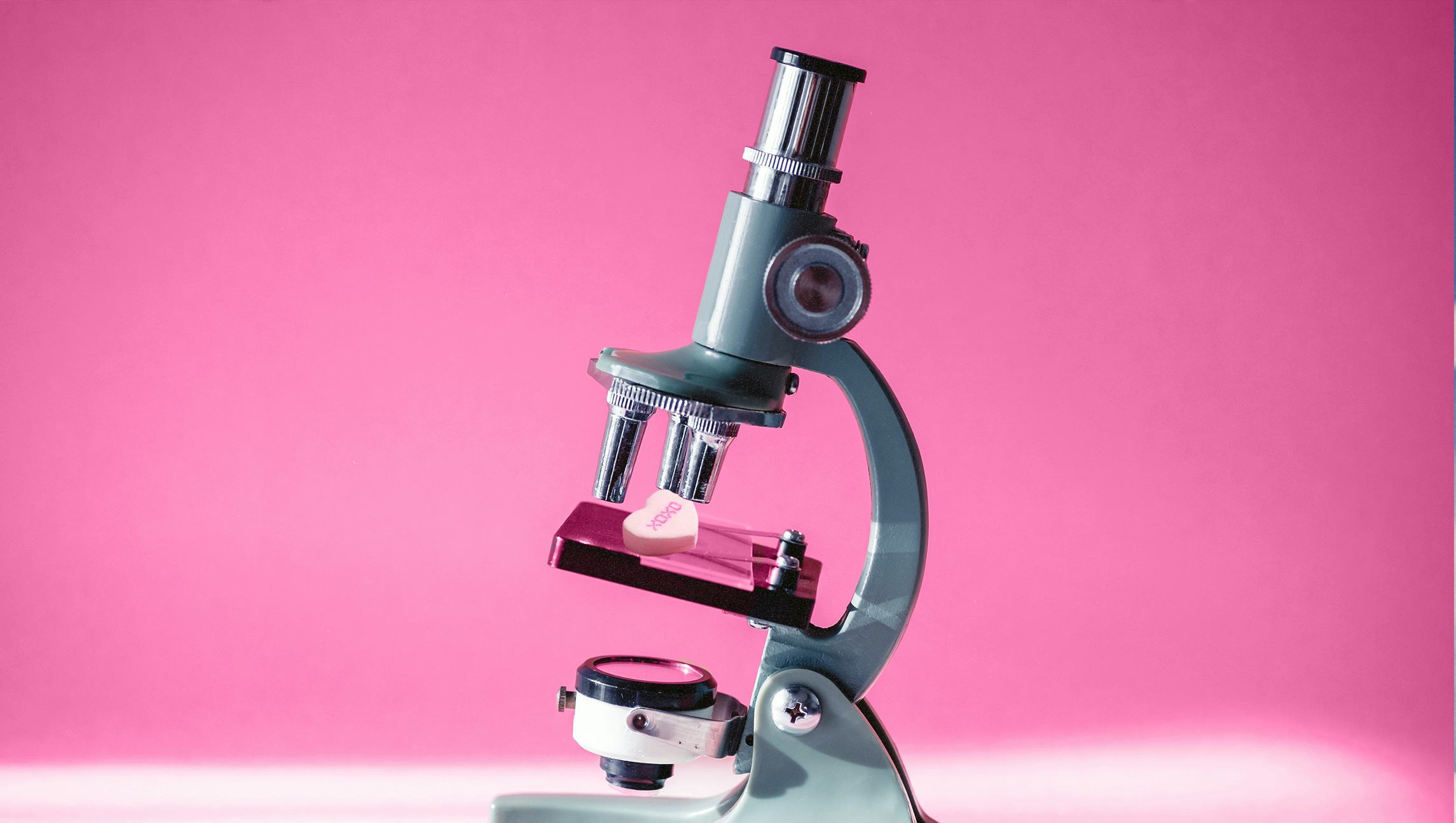 Valentine's Day Crush Talk From Jisoo, Jake Shane, Sasha Colby & More