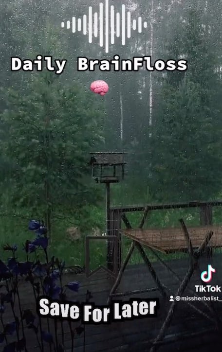 What To Know About "Brain Flossing"