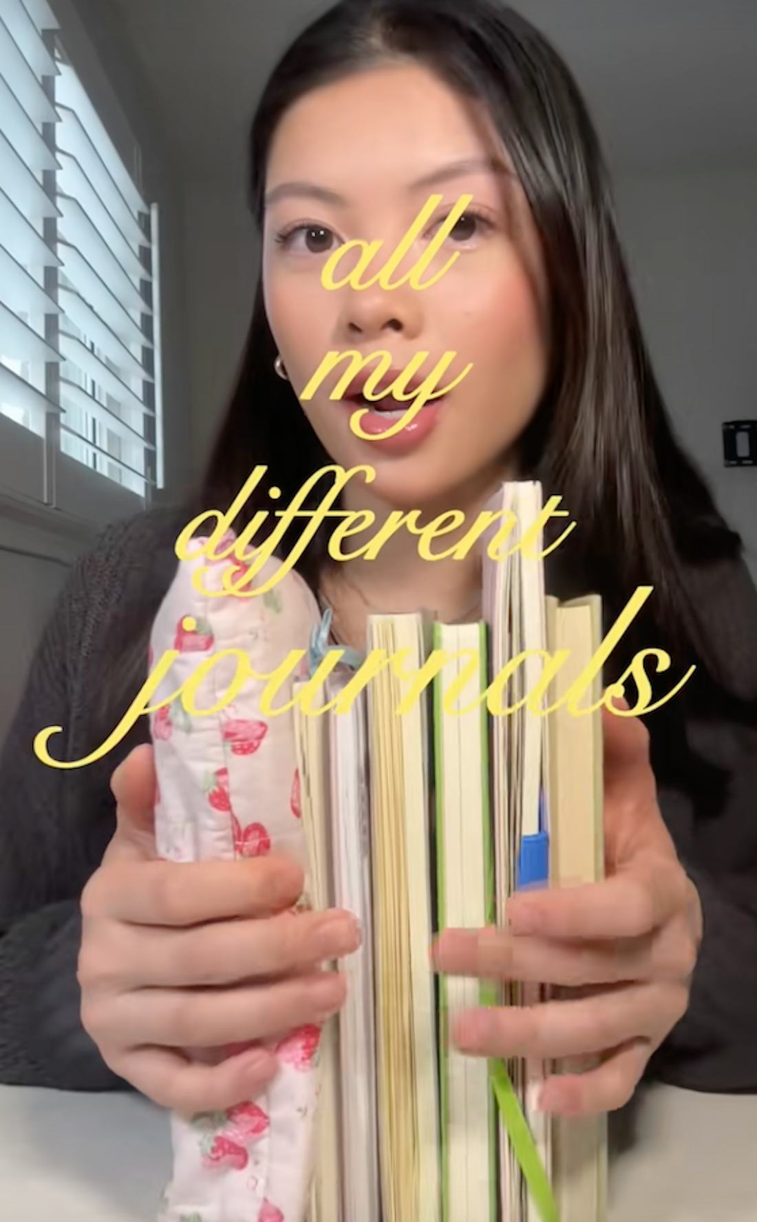 TikTok's "Journal Ecosystem" Is A Great Organizing Hack