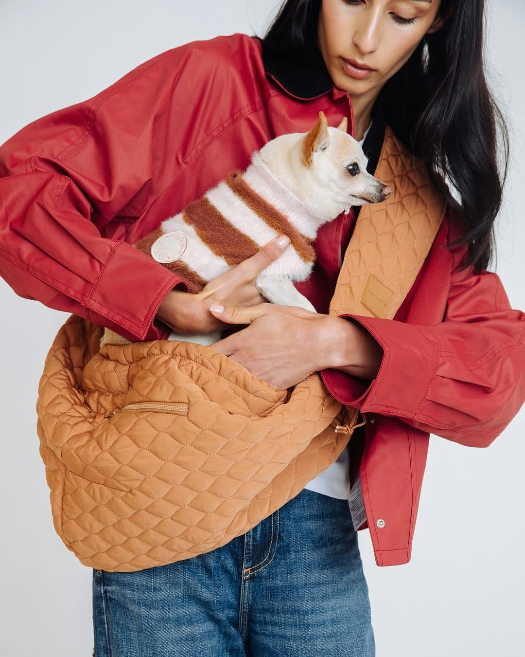 These Luxury Dog Brands Are Making Waves This Year