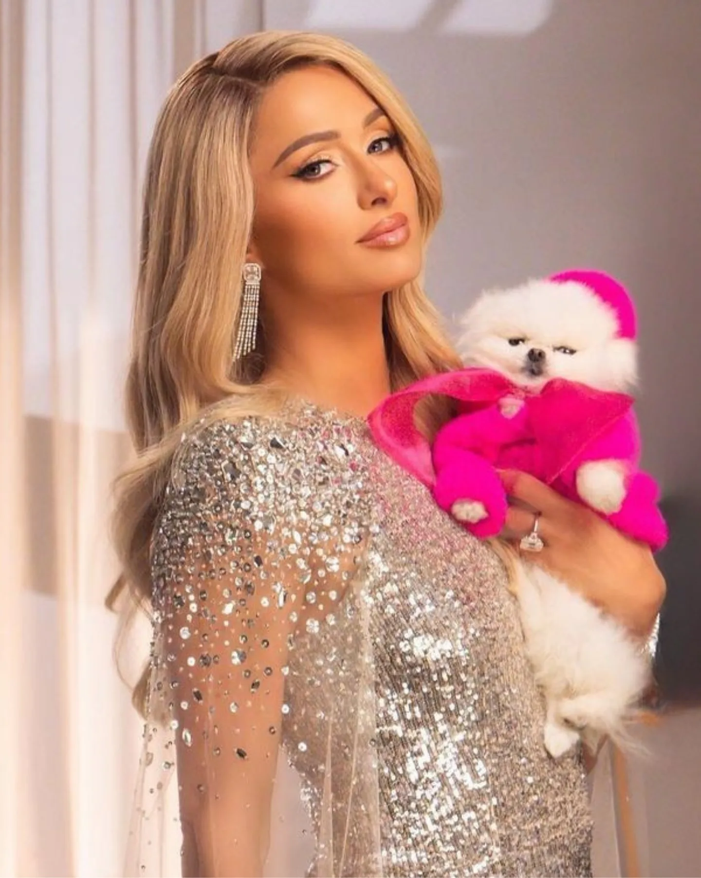 These Luxury Dog Brands Are Making Waves This Year