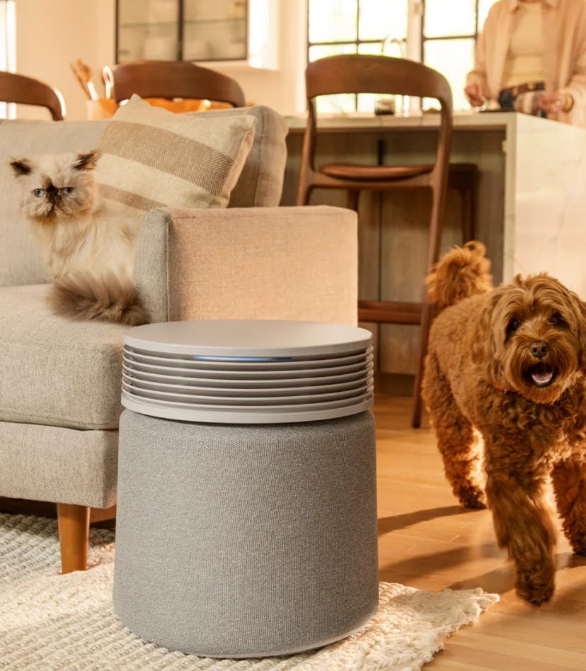 Scary Mommy 2026 Readers’ Choice Award Best Air Purifier Brand