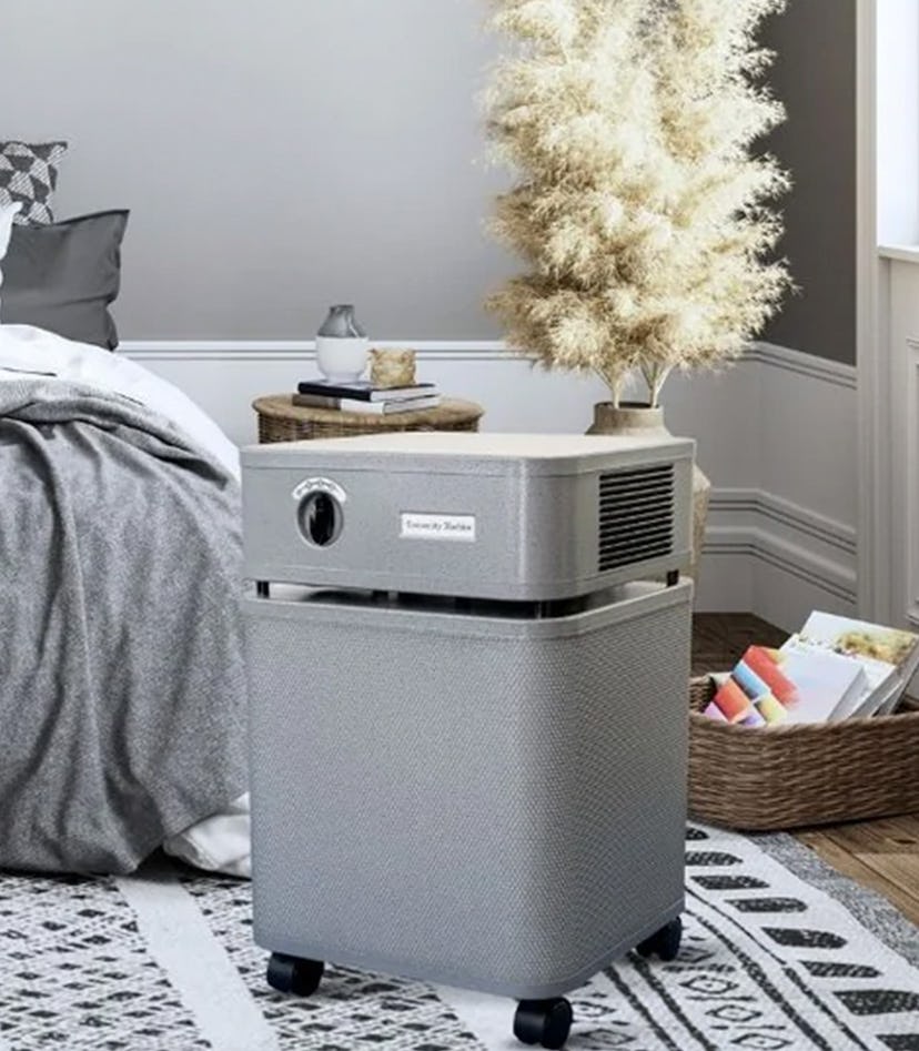 Scary Mommy 2026 Readers’ Choice Award Best Air Purifier Brand