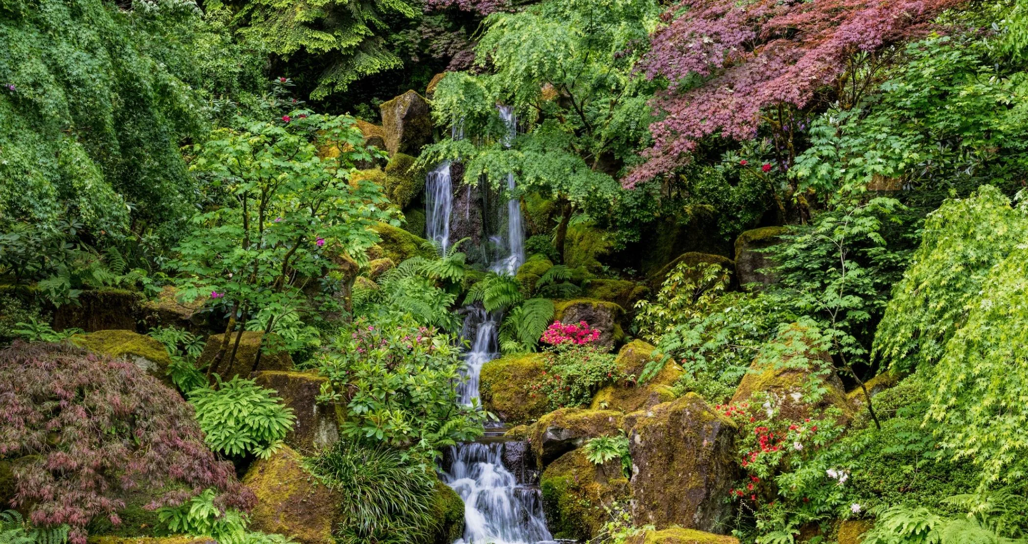 The Zoe Report's 2026 Readers' Choice: Best Botanical Gardens