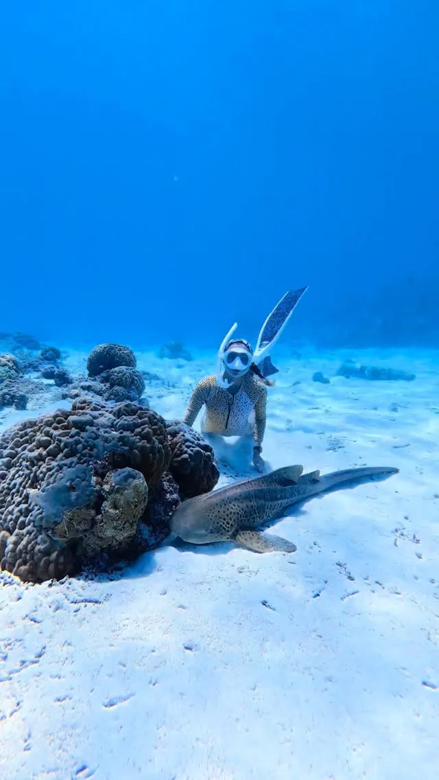 Maldives Travel Guide: Insider's Picks for Where to Stay, Eat, Drink ...