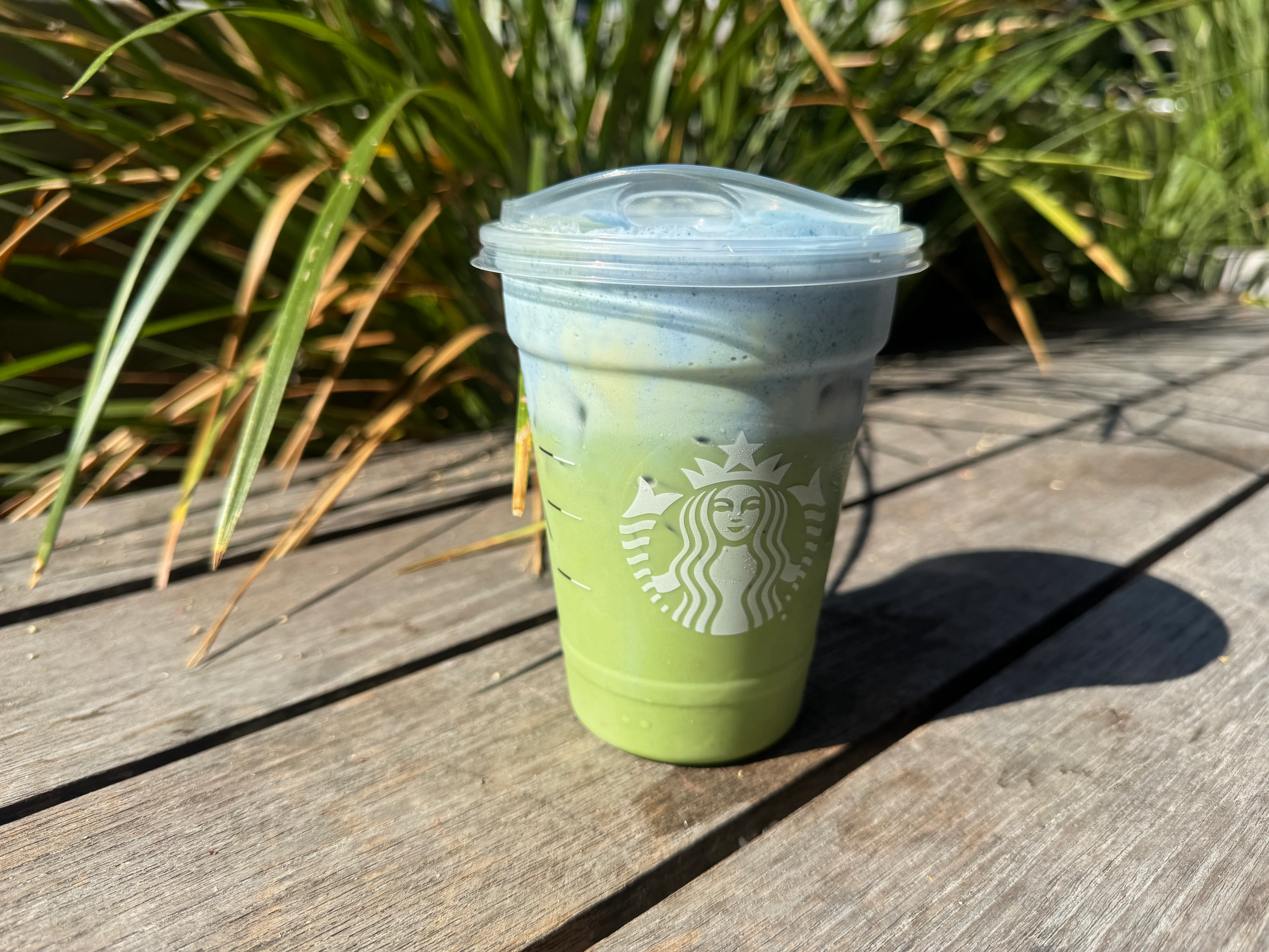 I Tried Starbucks' Blue Coconut Drinks From The Summer 2026 Menu