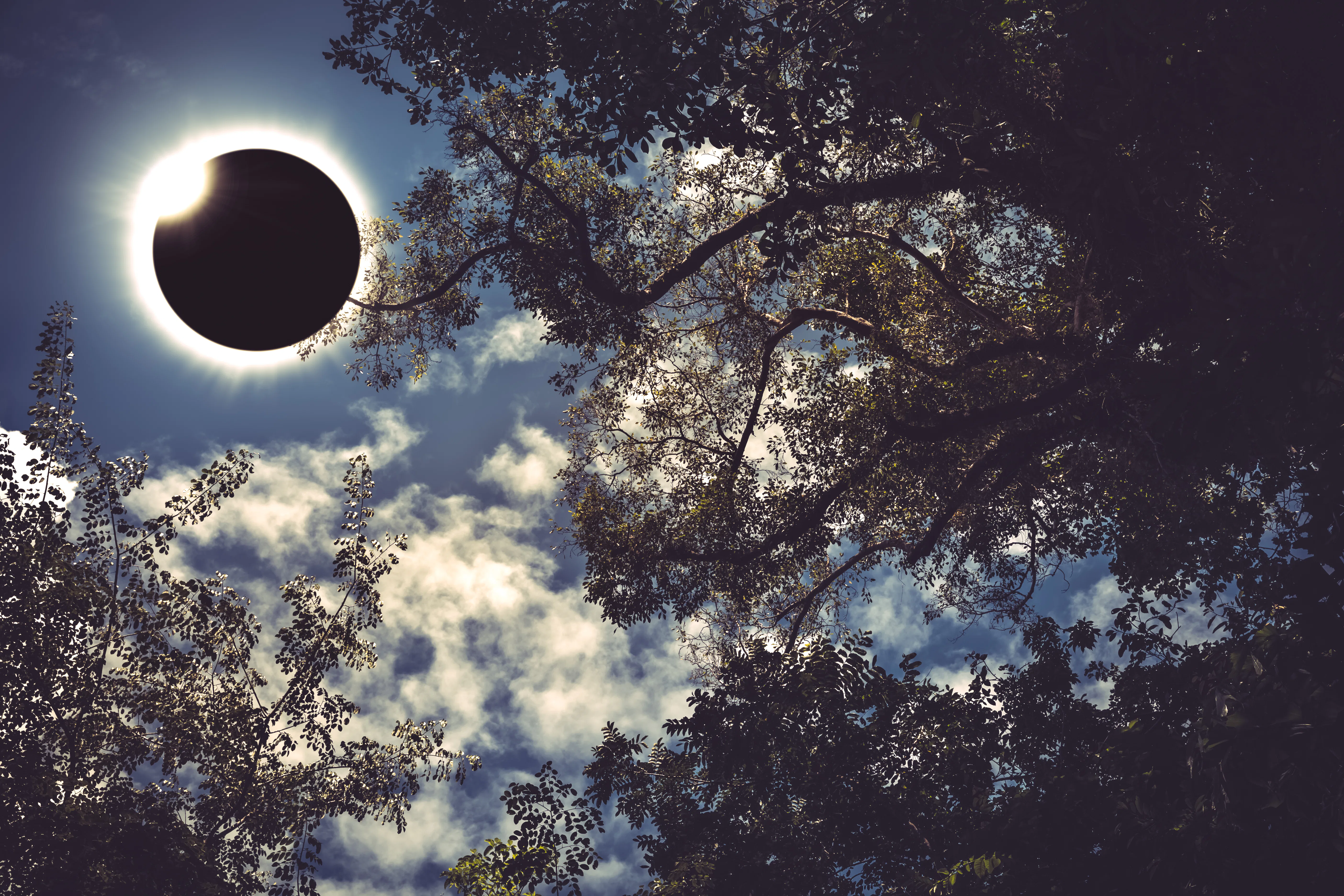 How The December 2019 New Moon Will Affect You, Based On Your Zodiac Sign