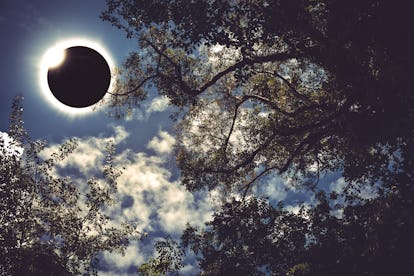 How The December 2019 New Moon Will Affect You, Based On Your Zodiac Sign