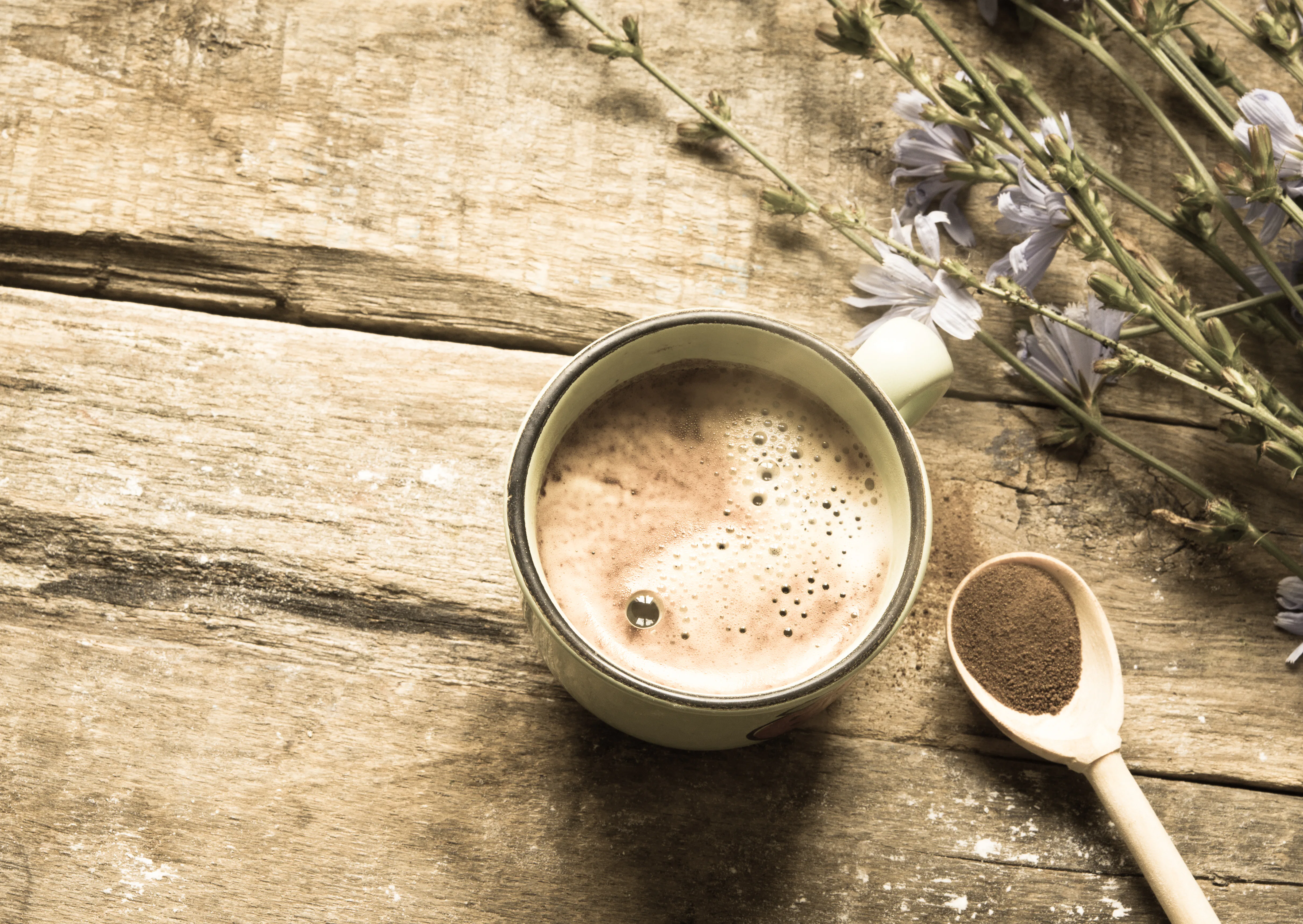 Chicory Root Vs. Coffee — Is This Buzzy Ingredient Better Than Your ...