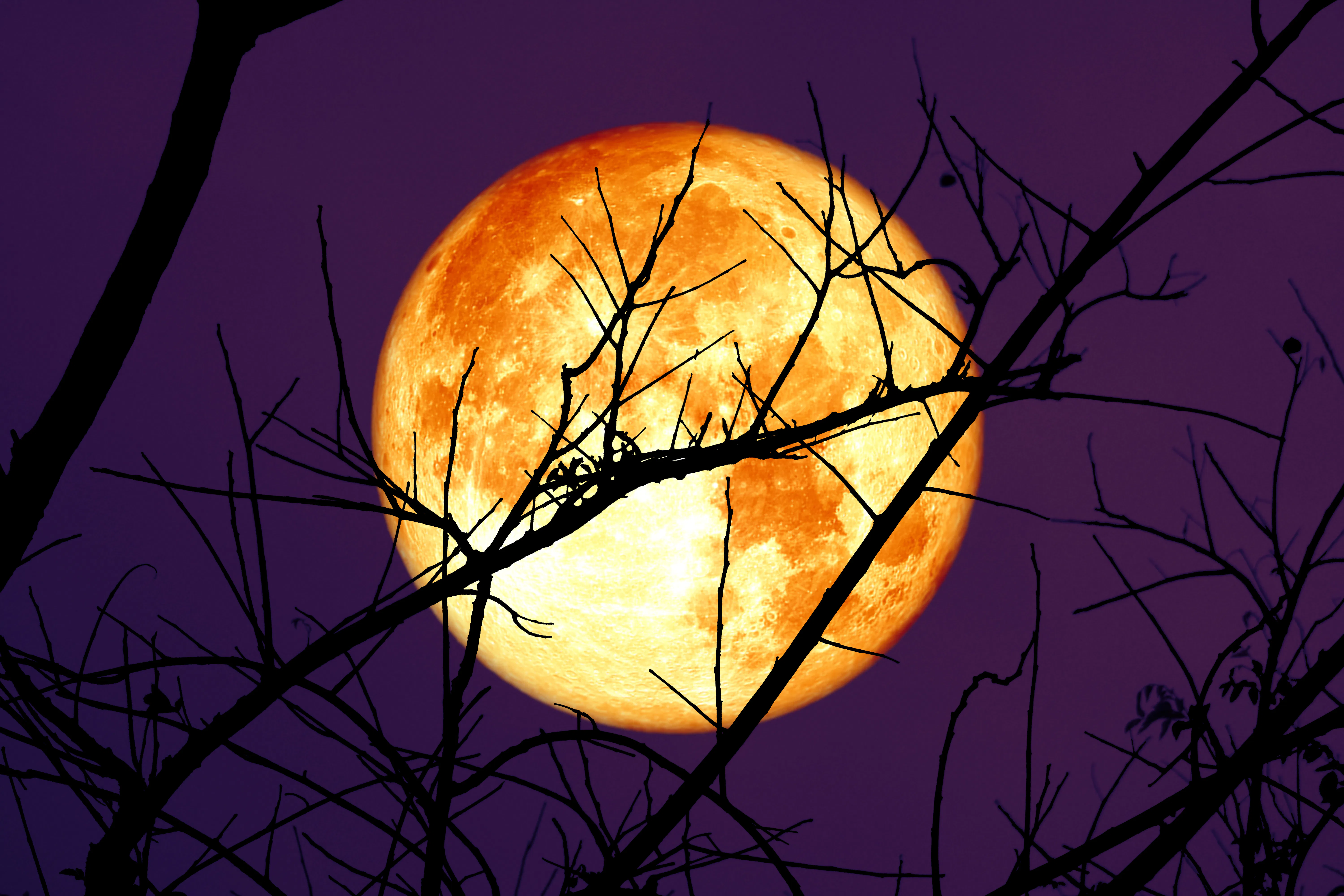 Why The December 2019 Full Moon Is Called The Cold Moon