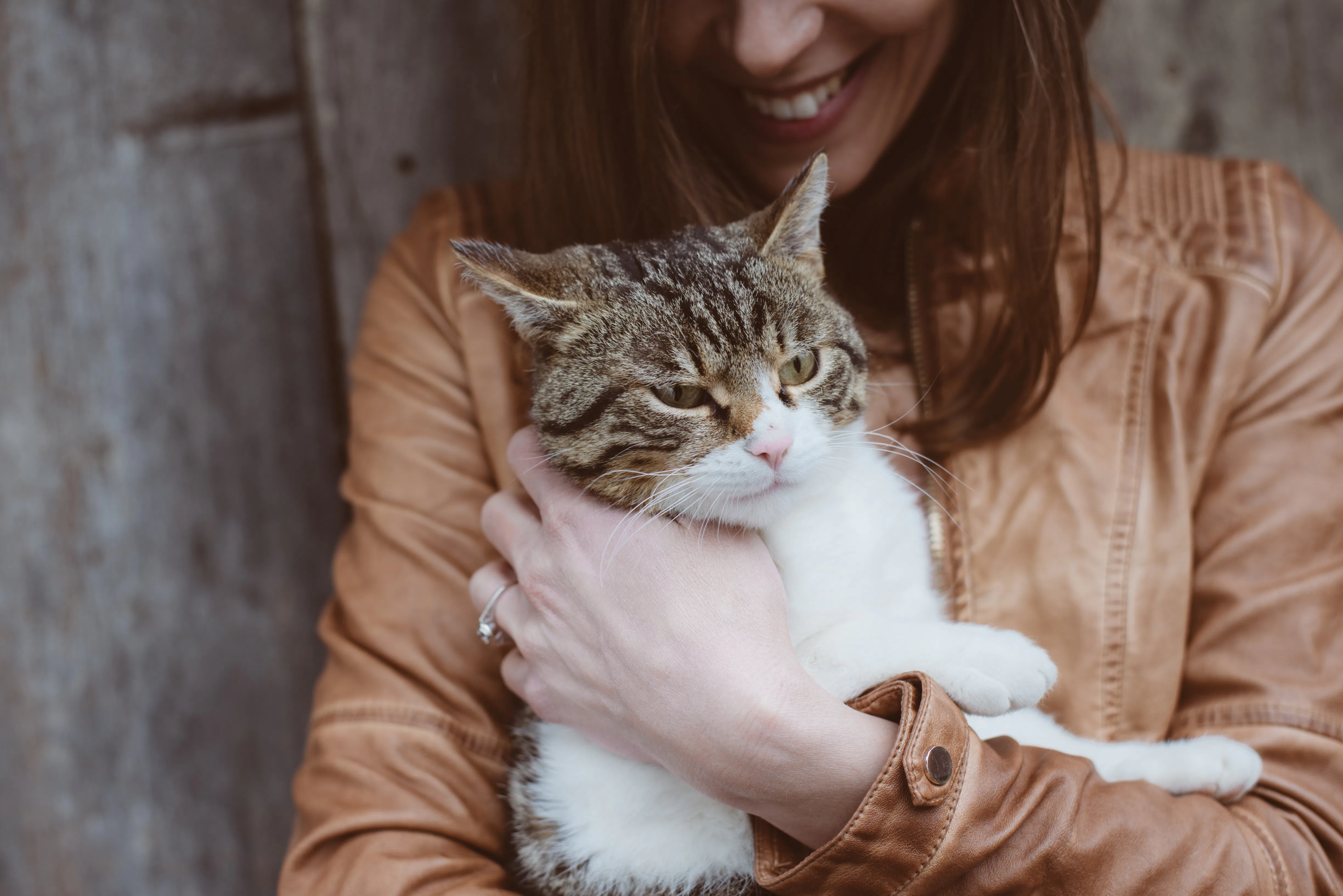 Should I Get A Second Pet? 7 Signs Your Current Pet Will Be OK With ...