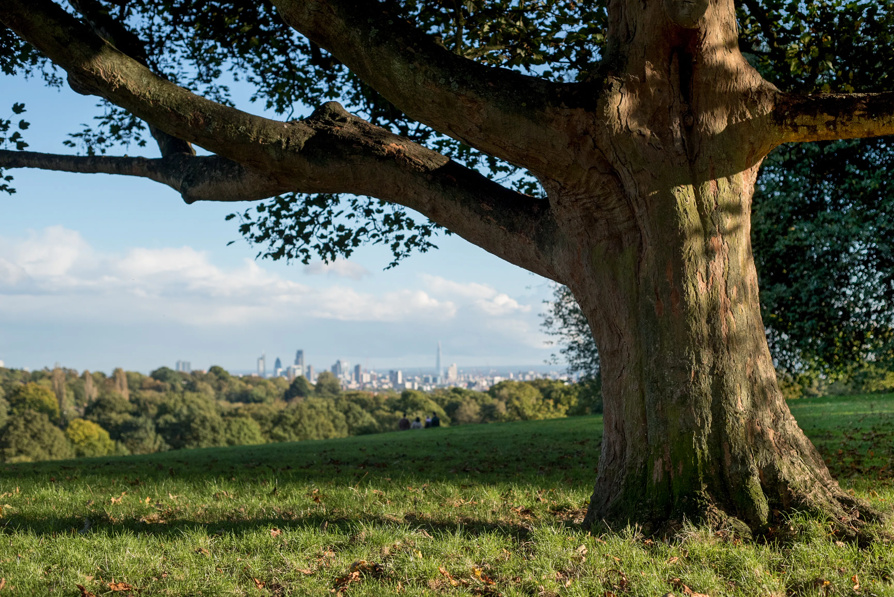 10 Parks In London, UK With The Most Instagrammable Views To Visit At ...