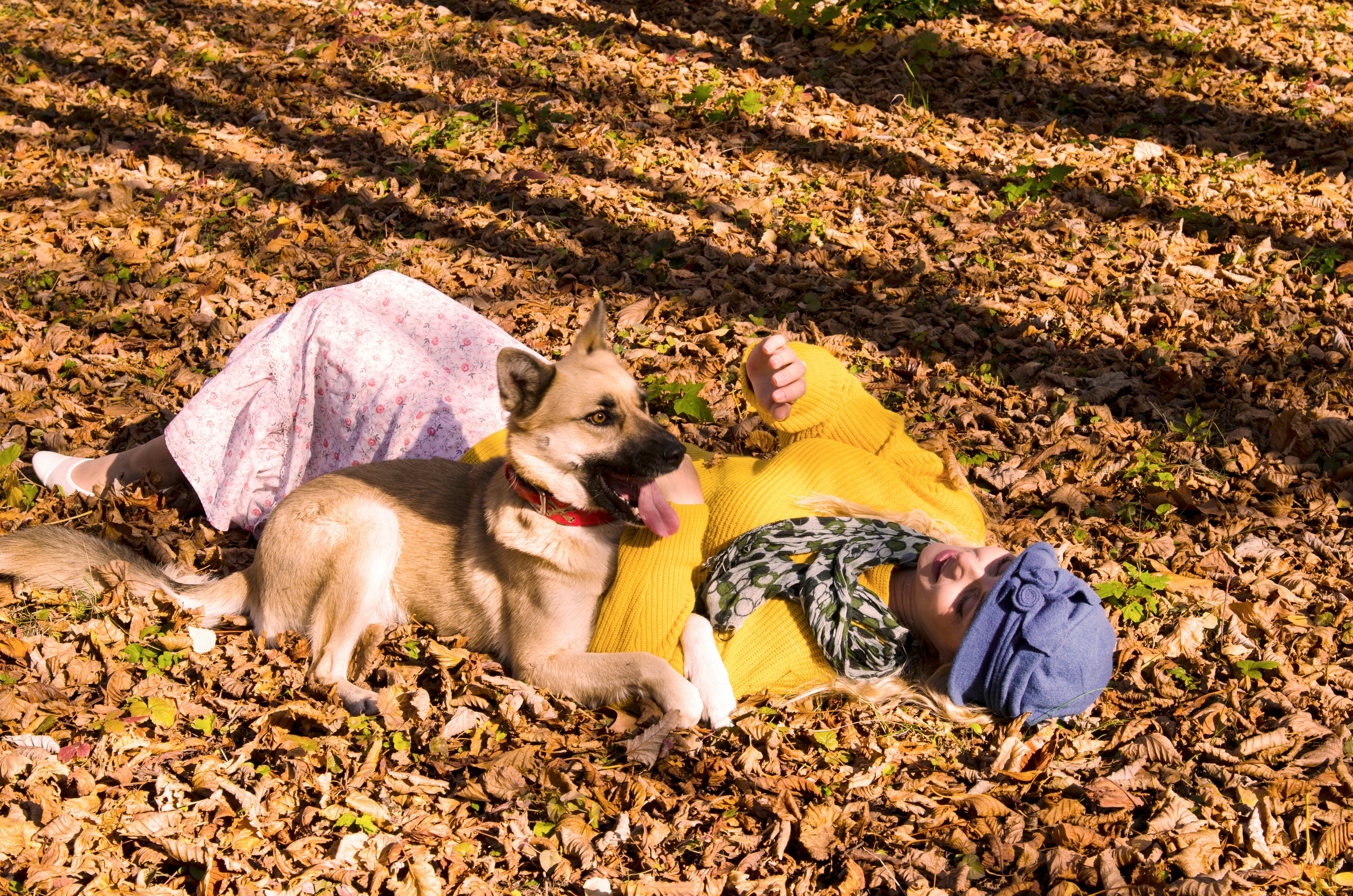 38 Fall Captions For Dogs & Paw-some Days Running Through Piles Of Leaves