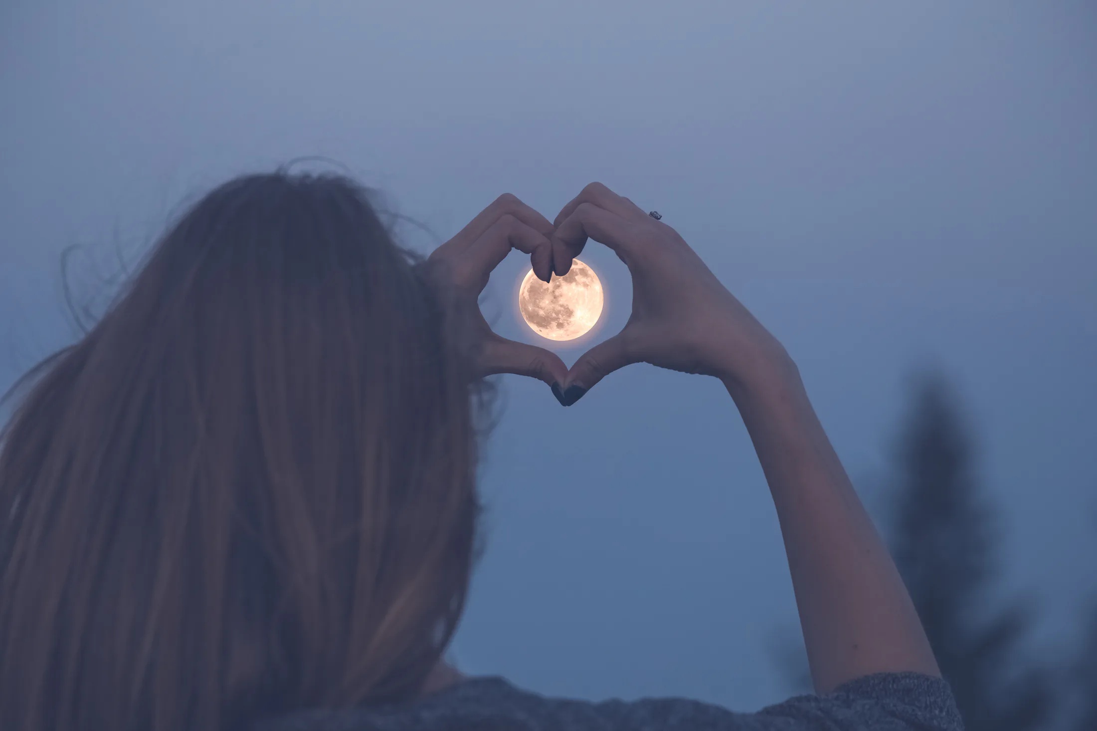 How To Read Your Horoscope Correctly, According To An Astrologer