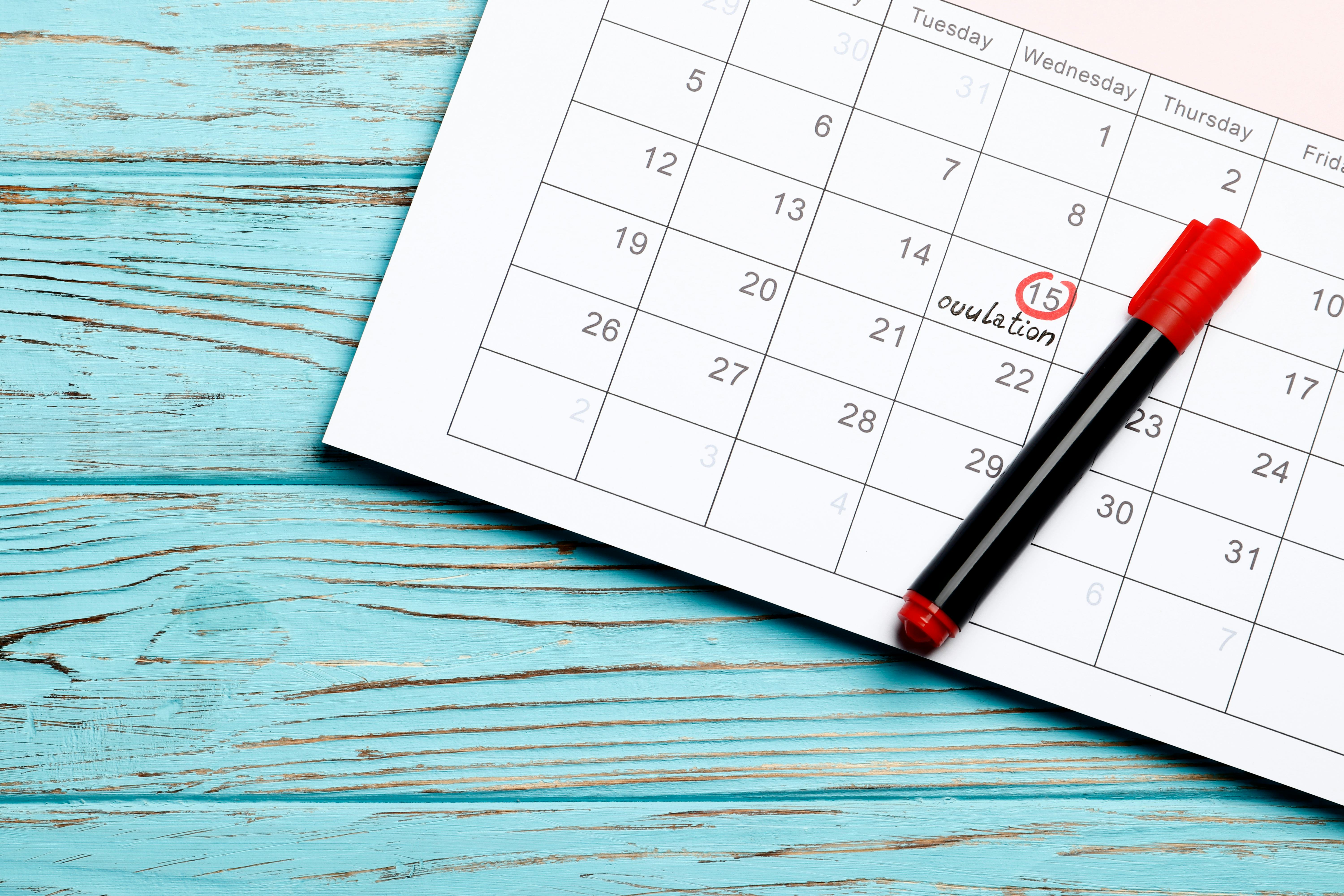 The 28-Day Menstrual Cycle Is Nowhere Near As Common As People Think, A ...