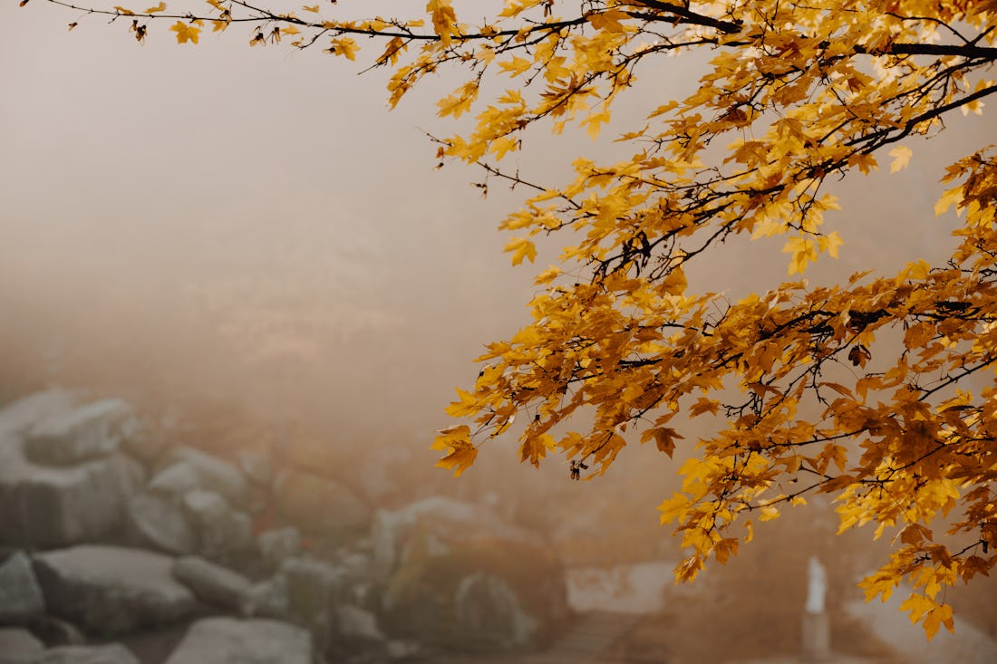 The Fall Equinox's Effect On Each Zodiac Sign, Explained