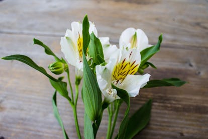 16 Cheap Wedding Flowers That Still Look Beautiful For Couples On A ...