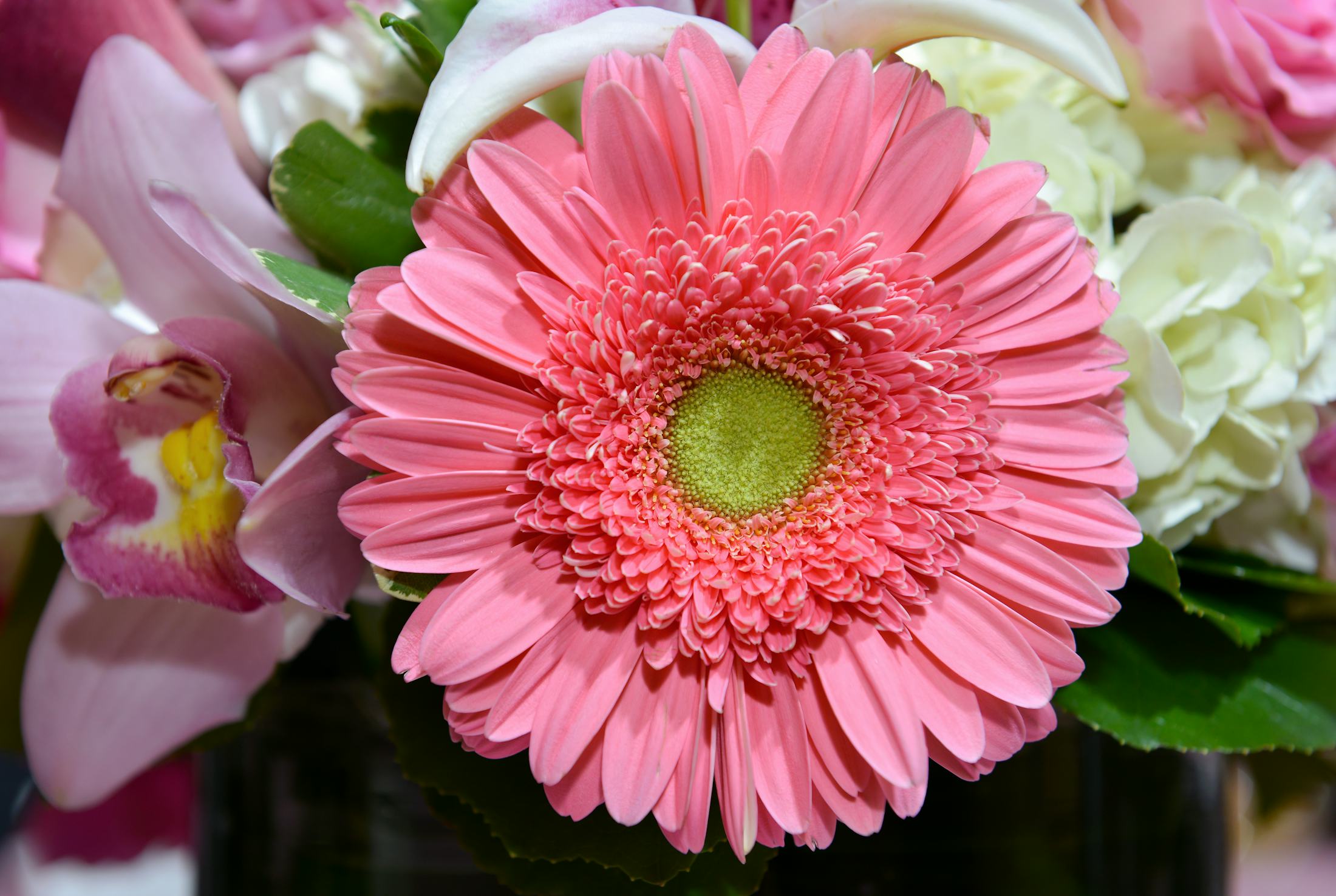 16 Cheap Wedding Flowers That Still Look Beautiful For Couples On A ...