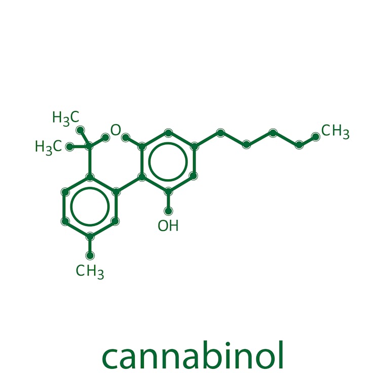 Beyond THC and CBD: The science of cannabinoids and the brain