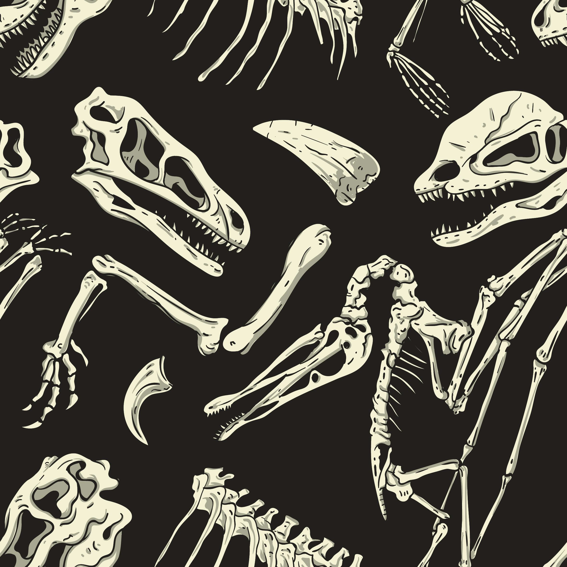 Dino bones reveal T.Rex’s awkward teen phase