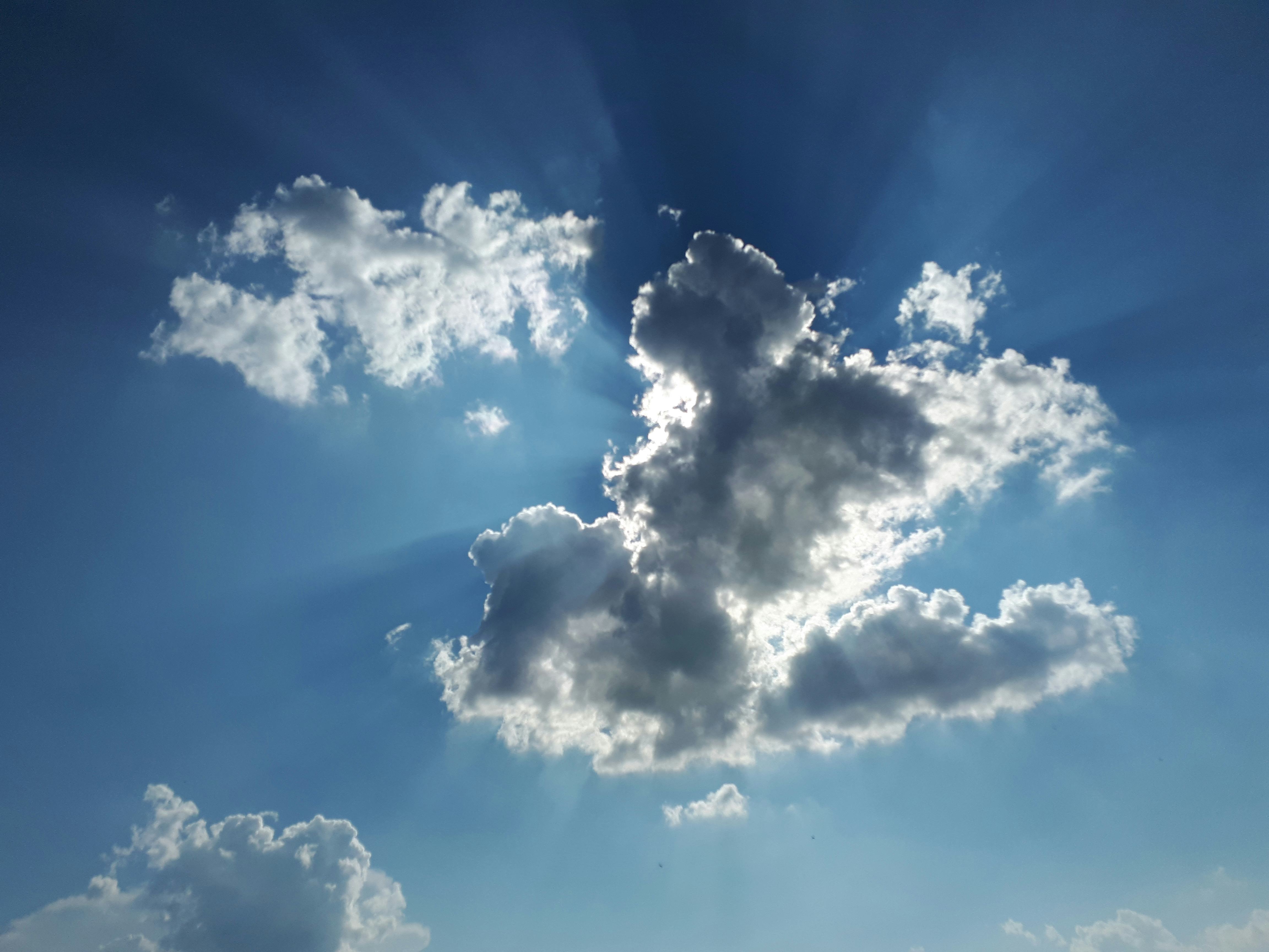 Study reveals one climate strategy could save the world $616 trillion