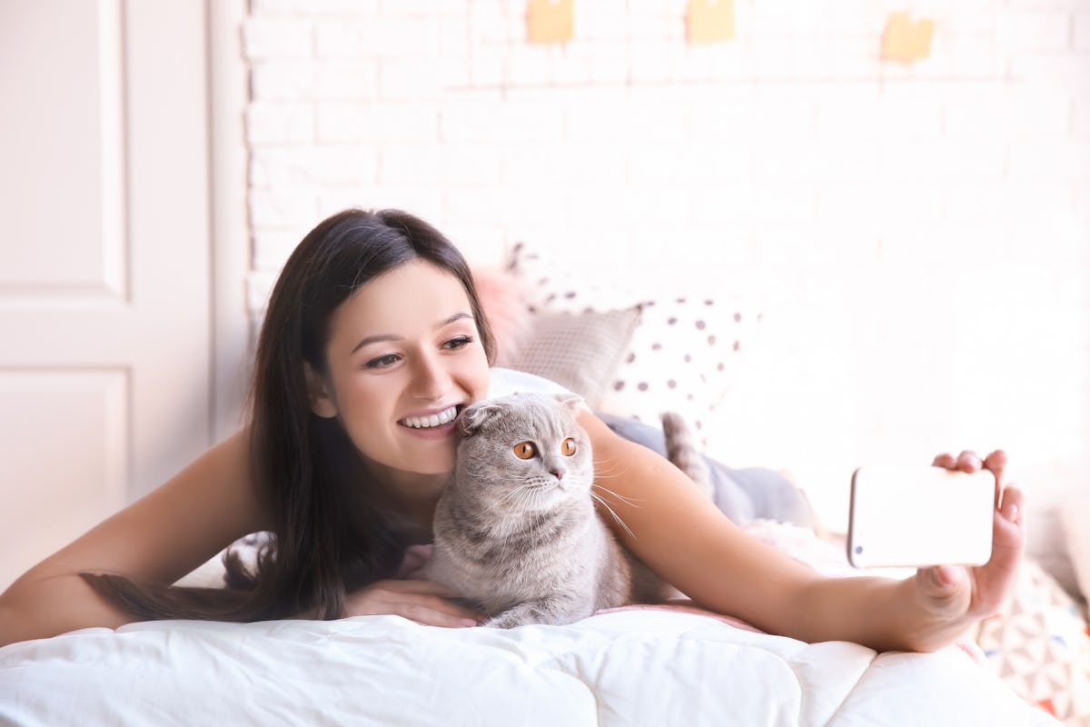 30 Instagram Story Captions For Cats Who Want You To Check Meowt 30-instagram-story-captions-for-cats-who-want-you-to-check-meowt