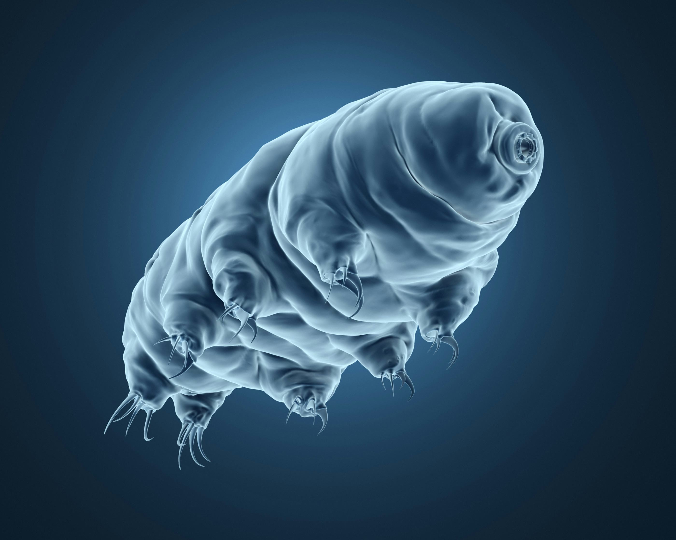 Look: Scientists made a shockingly rare ancient tardigrade discovery