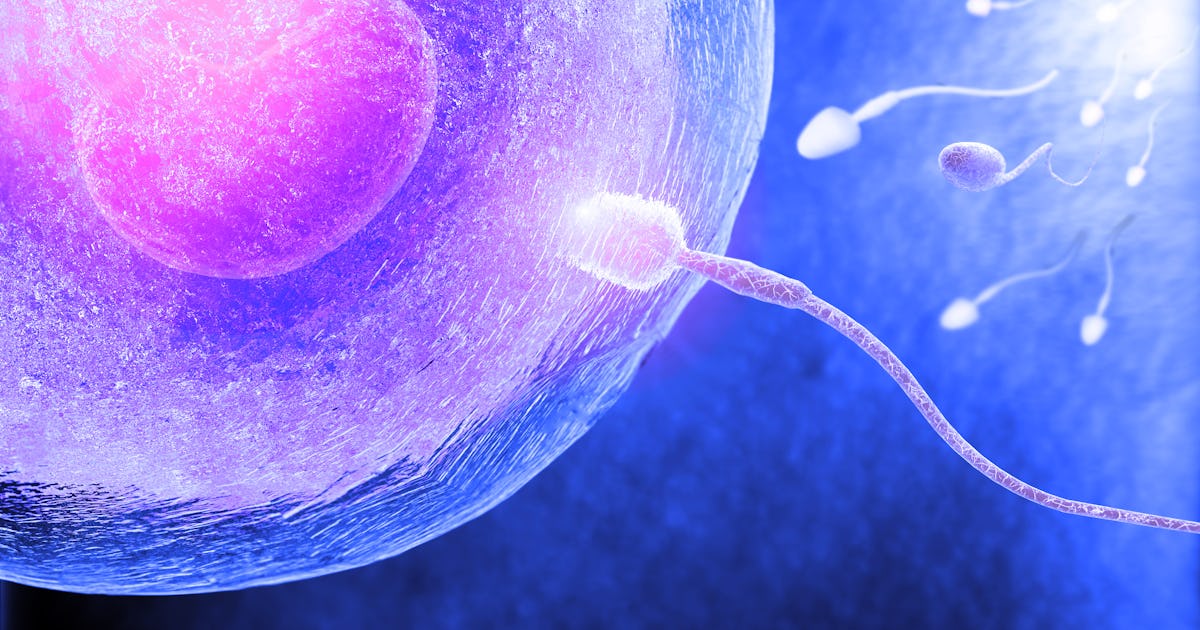 Poisonous Sperm May Offer Clues To A Common Medical Problem