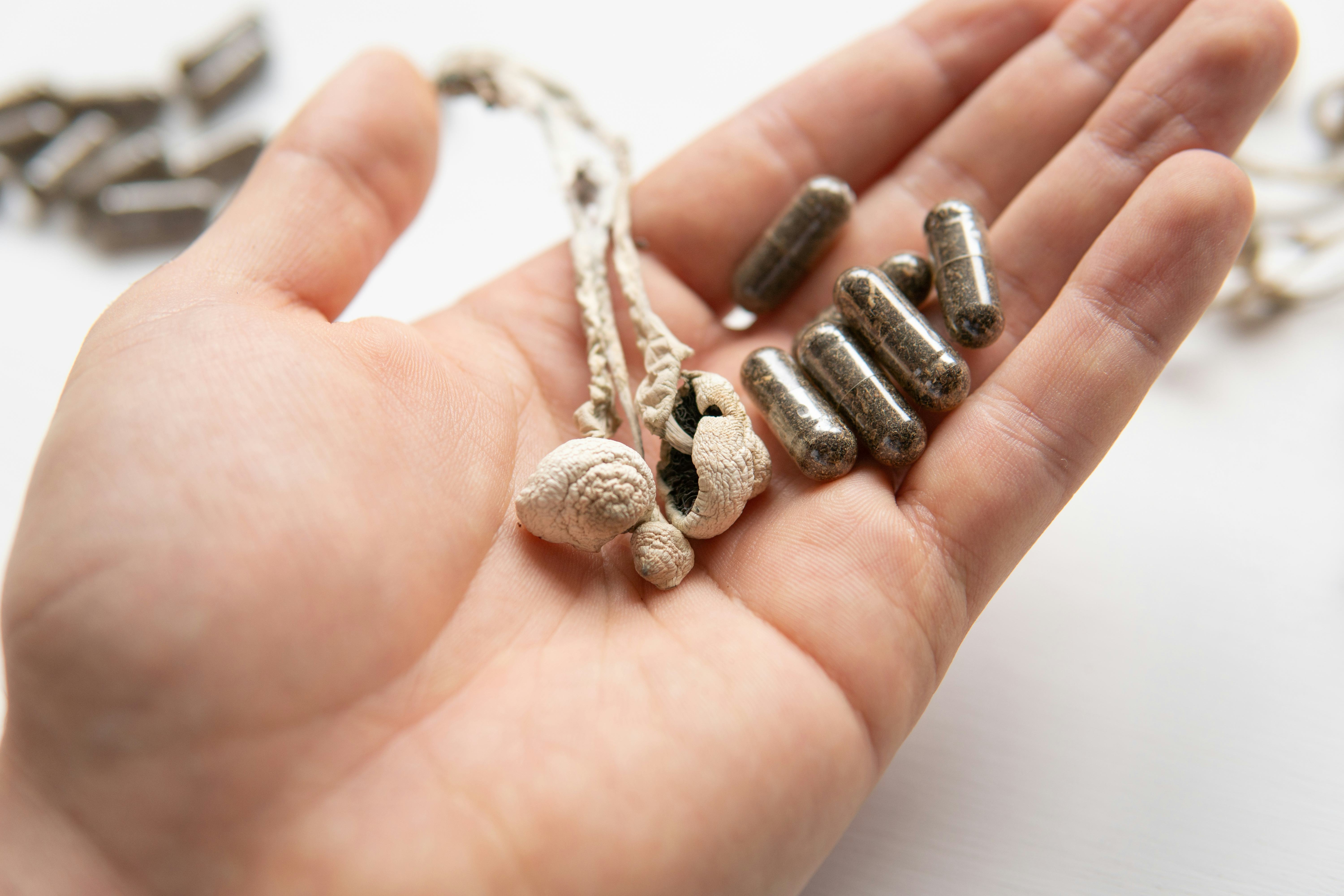 Shrooms vs. Acid: The scientific difference between LSD and magic mushrooms