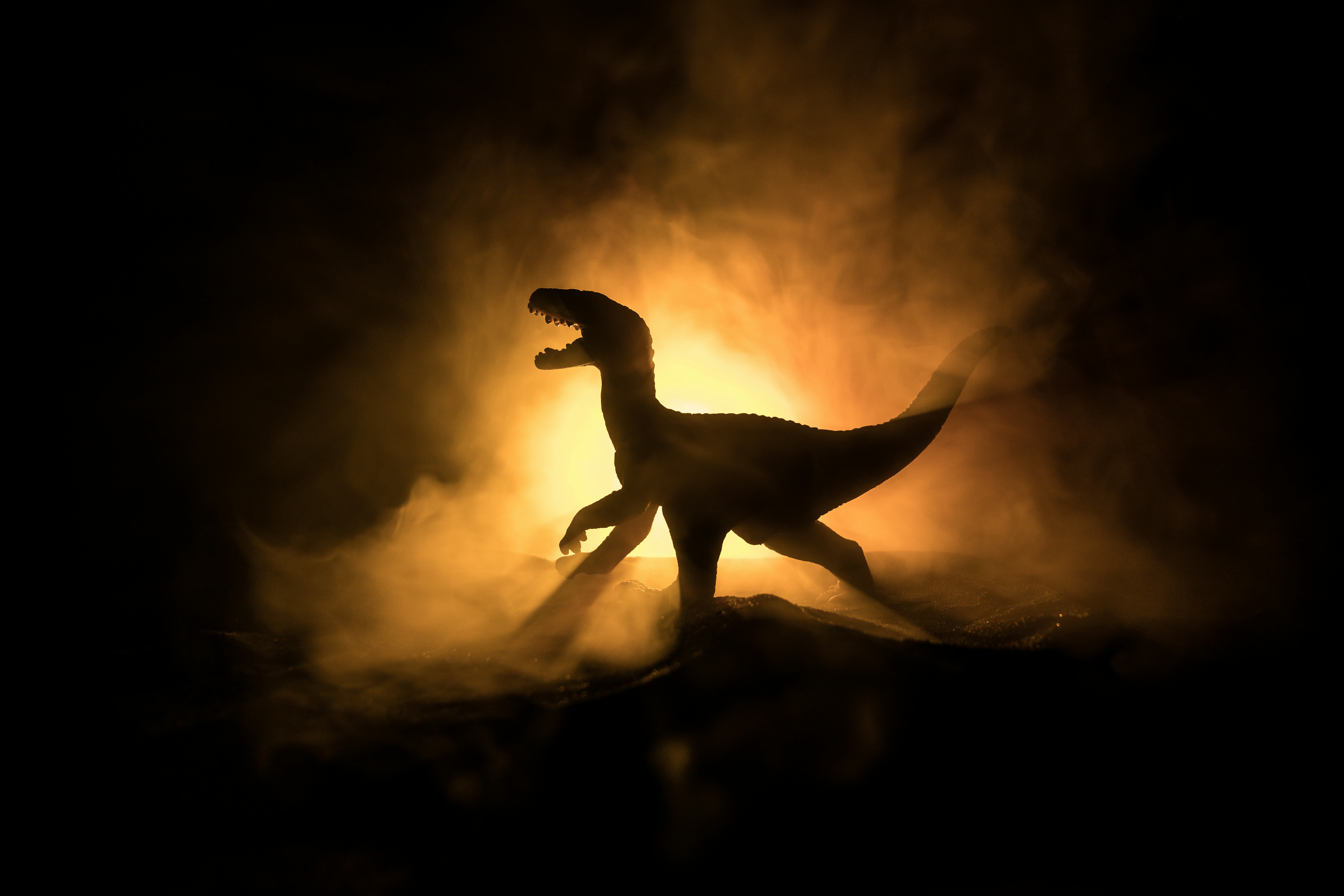 A predator with night vision is changing what we know about dinosaurs