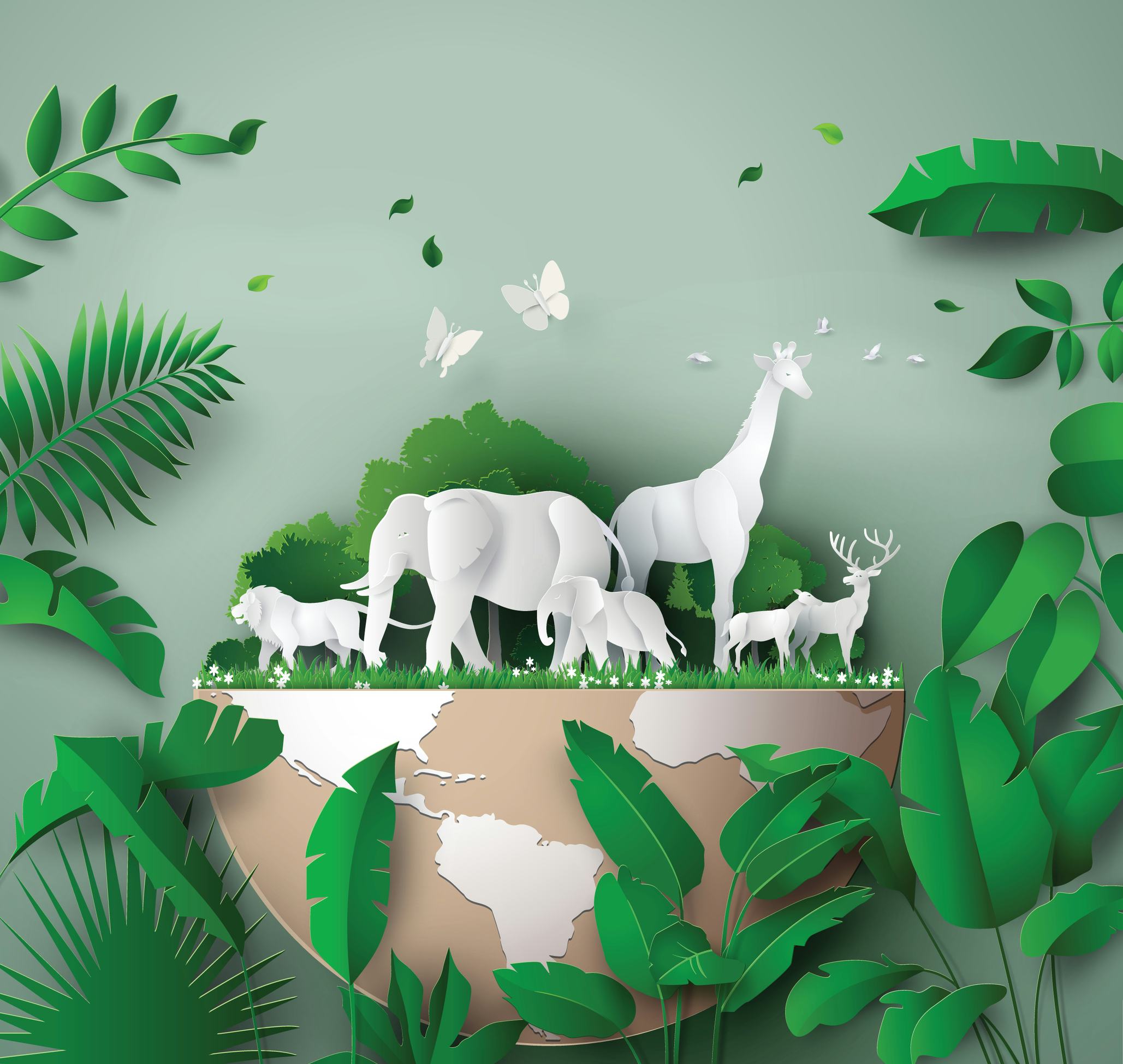 Look at 8 animals scientists already discovered in 2021